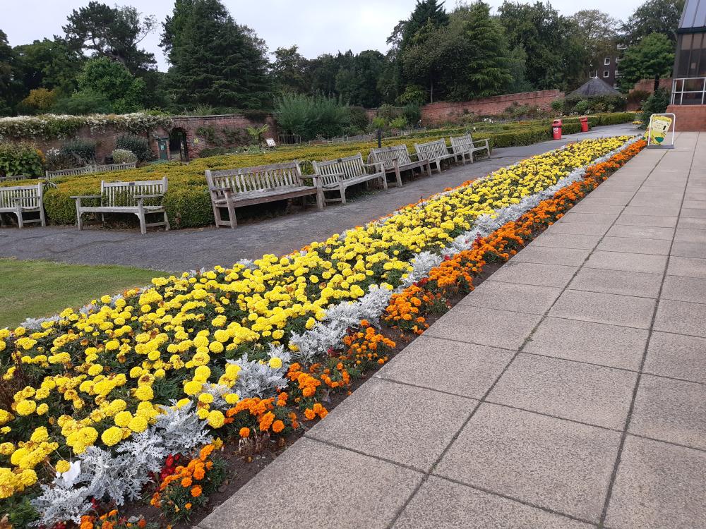 Visual Story | Tropical World